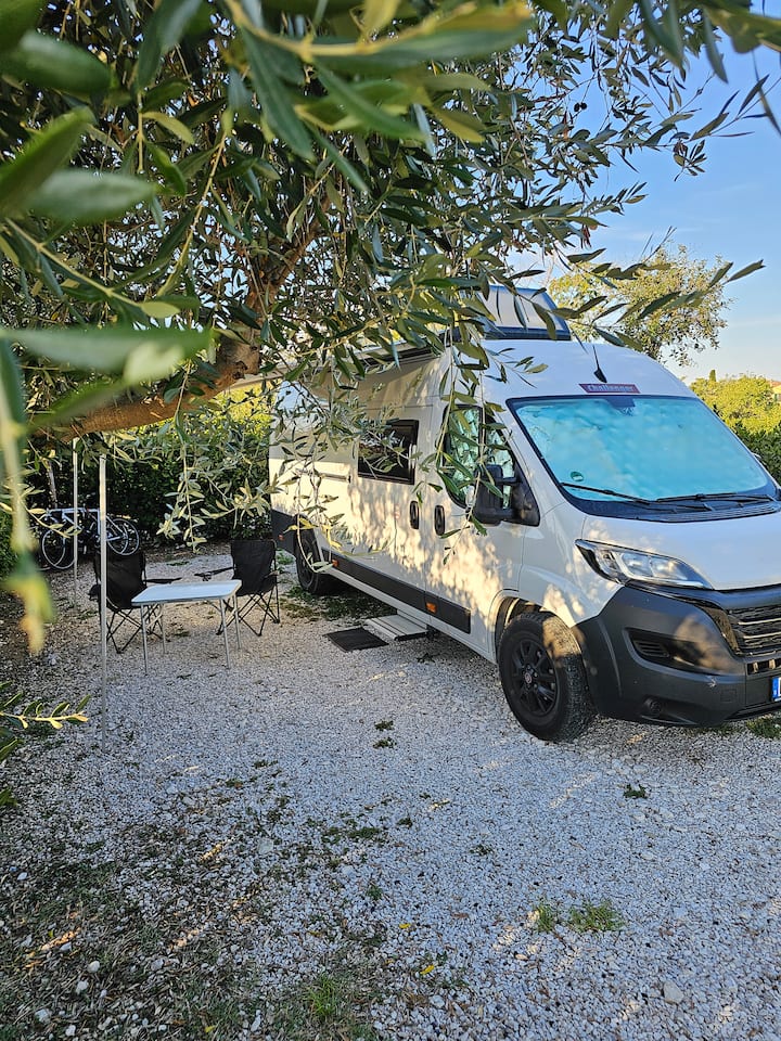 Campervan Parking Area With Garden In Follonica - Follonica