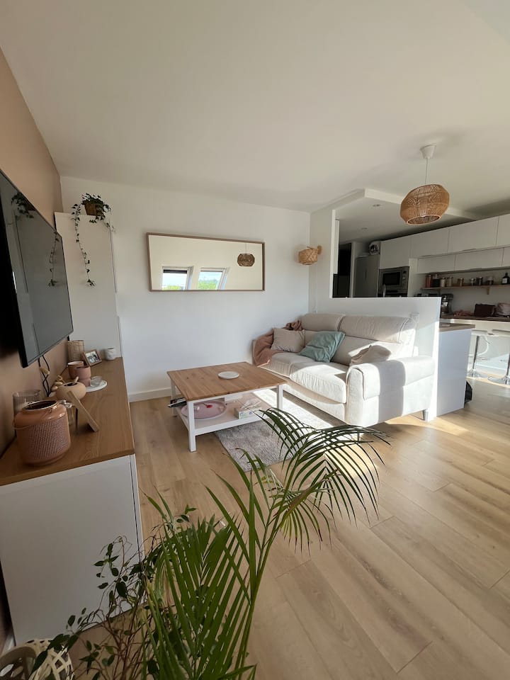 Appartement Chaleureux Avec Balcon Vannes - Vannes