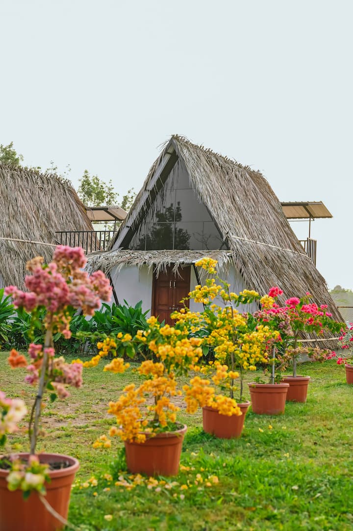 The Orchard Farm Stay_ Cottage_1 - Belur