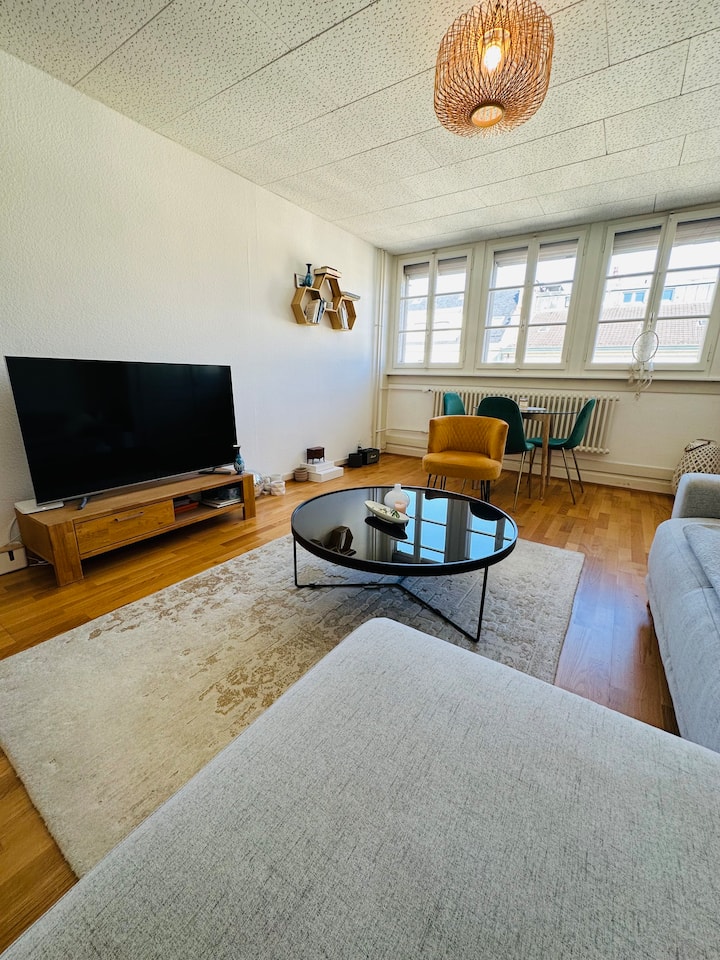 3 Pièces 50m² En Plein Centre-ville - Geneva