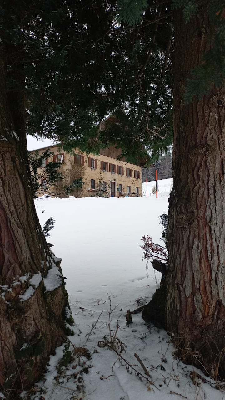 Bauernhof "Geiselstatt" - Wolfgangsee Lake