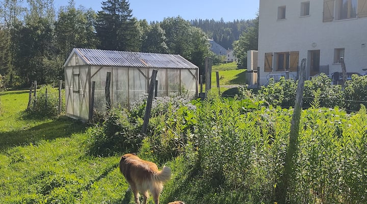 Studio à Bellefontaine Au Cœur Du Pnr Du Haut-jura - Les Rousses