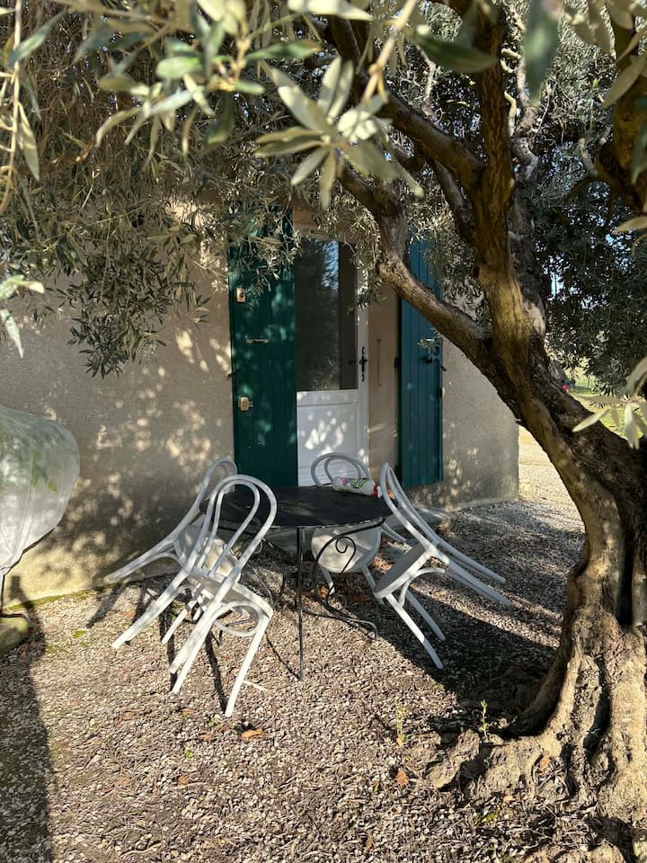 Charmant T2 Avec Piscine Partagée à Lourmarin - Lourmarin