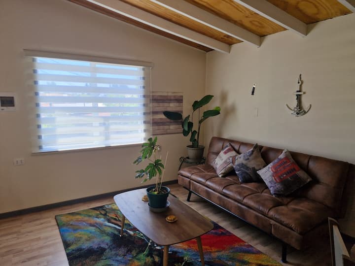 Acogedor Depto. Cerca Del Centro De Temuco. Wifi - Temuco