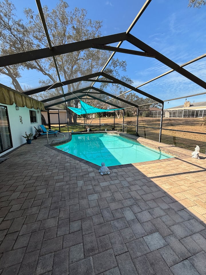 Green Sunset - Spring Hill, FL