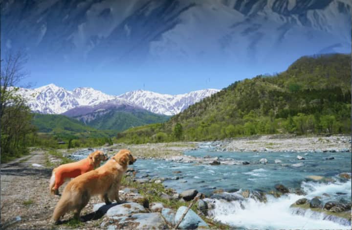 Hakuba Stay| Dog Friendly|nature Stay - Hakuba