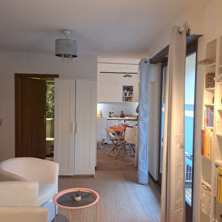 Bel Appartement à Wissembourg! - Wissembourg