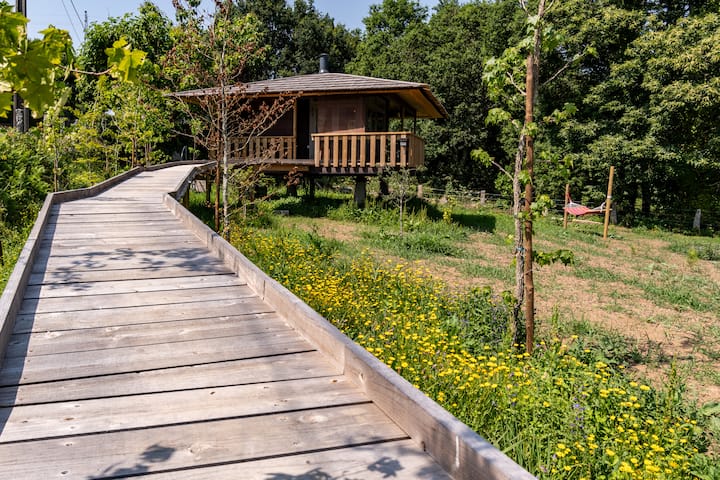 Espigueiro Em Paredes De Coura - Paredes de Coura