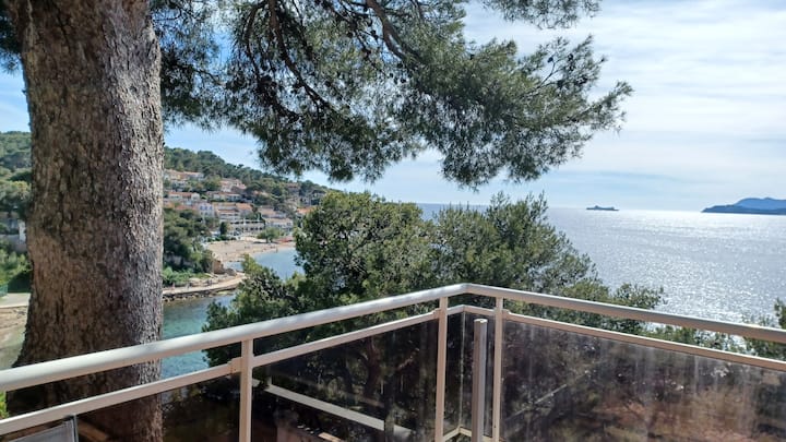 Maison Sur Les Rochers Face à La Mer - Le Pradet
