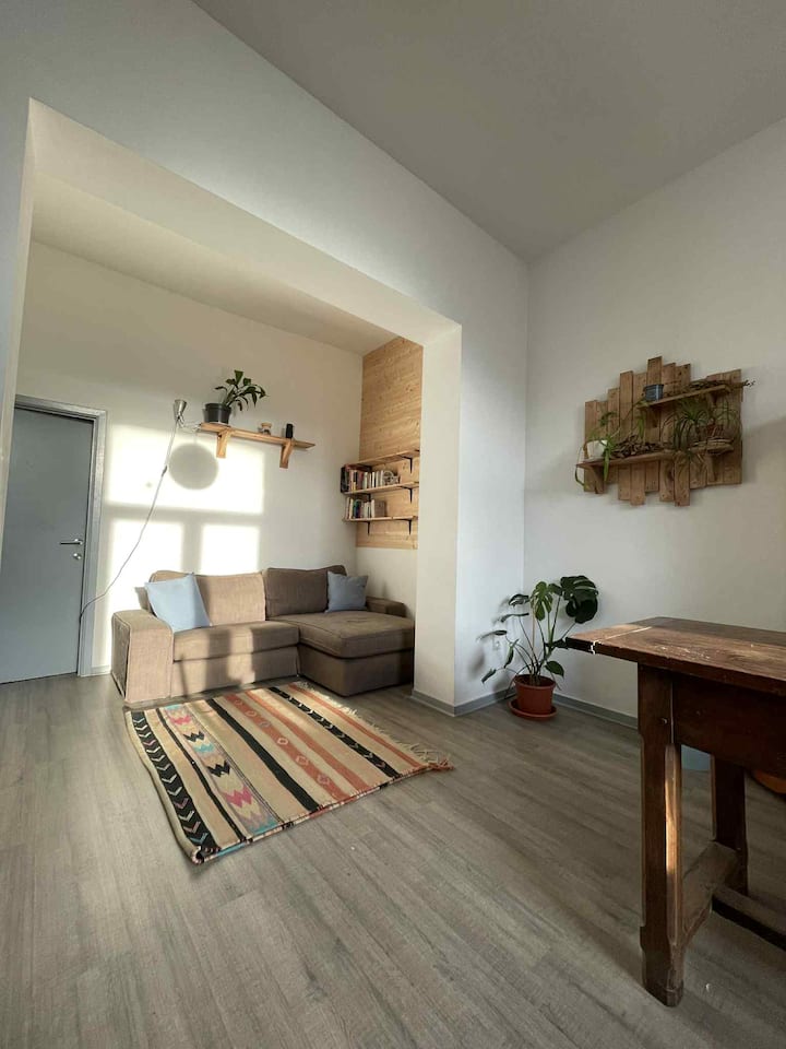 Appartement Entier Saint-gilles - Saint-Gilles