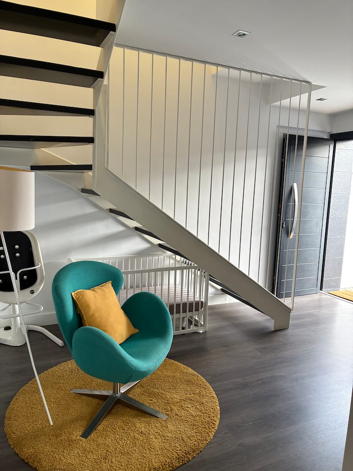 Iruña Vivienda Turística - Cortes