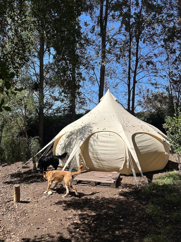 Yurta 7 Glamping Remanso - Isla de Maipo
