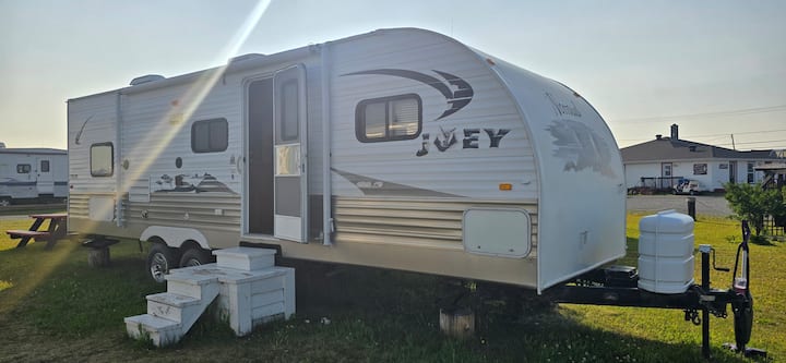 La 'Joey' #4 - Cap-Chat