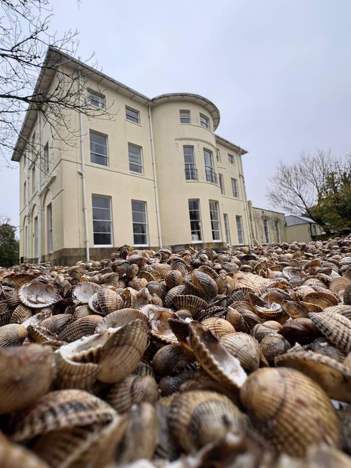 Stouthall Grade Ii* Listed Poppy Cottage - Rhossili