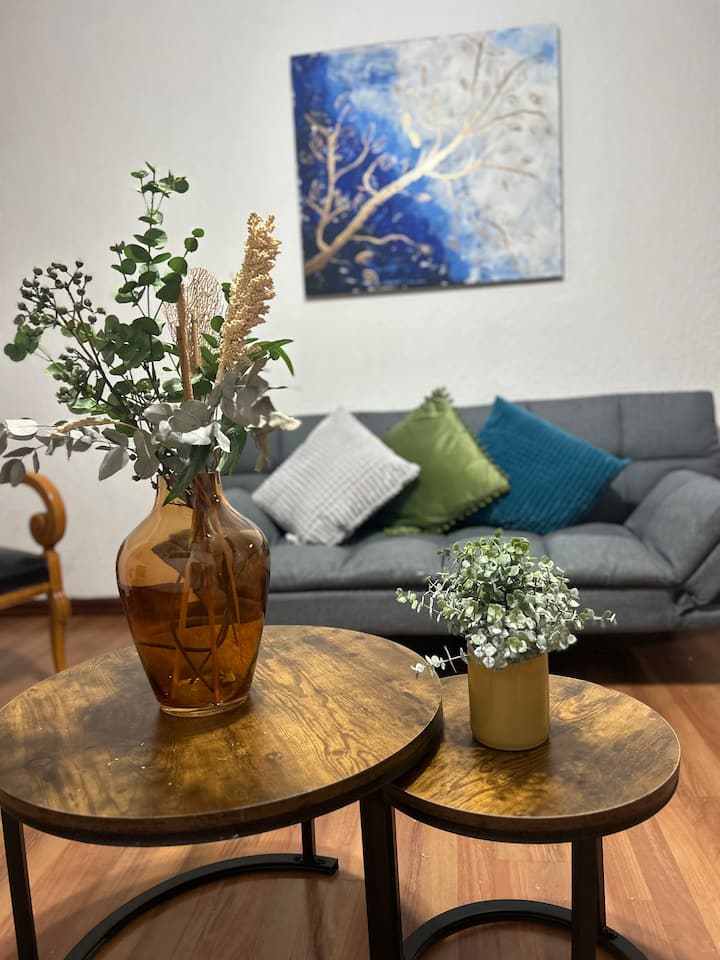 Depa Céntrico Y Cómodo - León