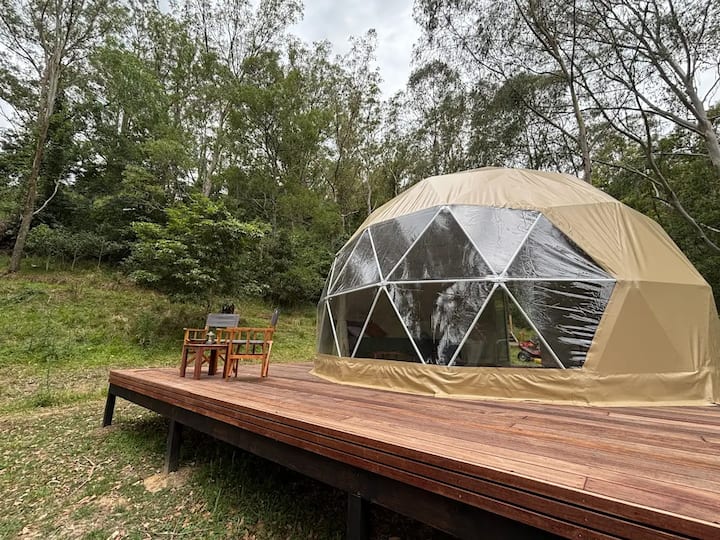 Glamping At The Bowery Dome Around An Ancient Tree - Kangaroo Valley
