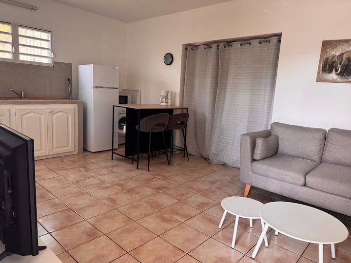 Bel Appartement Quartier Cluny, Wifi Et Parking. - Fort-de-France