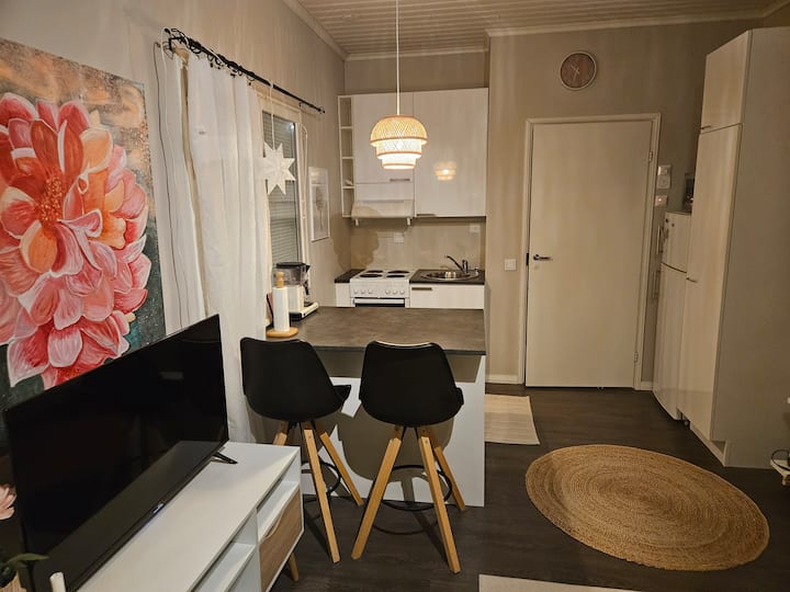 Aaltokankaalla Lähellä Palveluja Kaksio. - Oulu