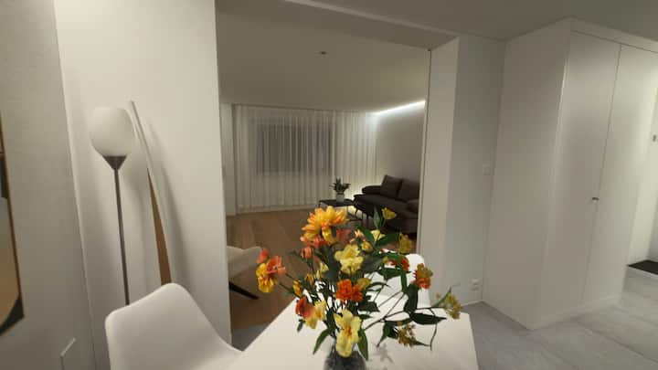 Ruhig, Zentral & Hochwertiges Apartment 3d+ - Lucerne