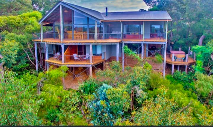 Luxury Treehouse Retreat In The Heart Of Albany - Albany