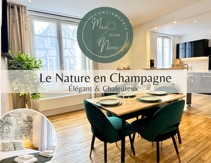 Nature En Champagne - Plein Centre & Wifi - Troyes