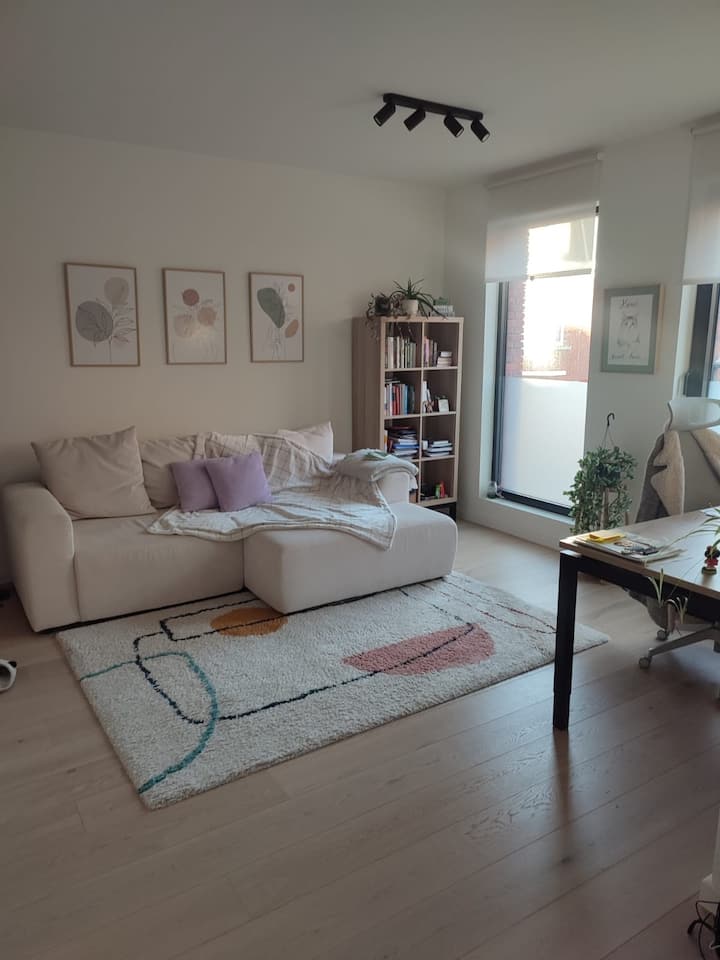 Appartement Cosy Avec Parking Privatif - Gent