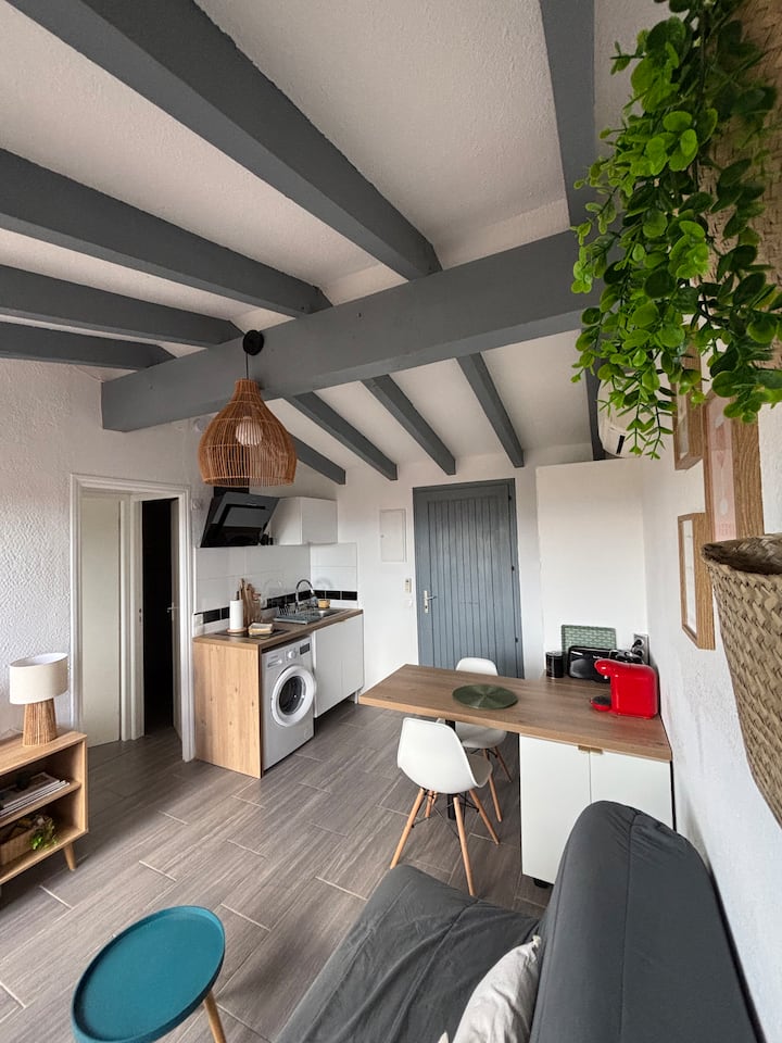 Appartement T2 Avec Terrasse à Porticcio - Plage de Porticcio