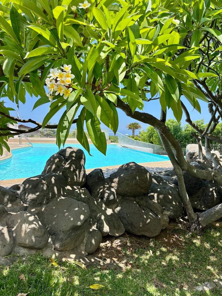 On The Rocks-vue Mer, Piscine, Classé 3* - Saint-Gilles les Bains