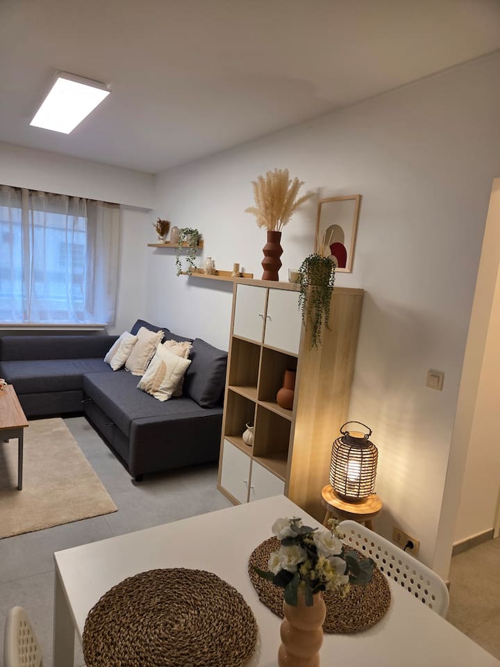 Appartement Neuf, Centre Ville Esch-sur-alzette - Esch-sur-Alzette