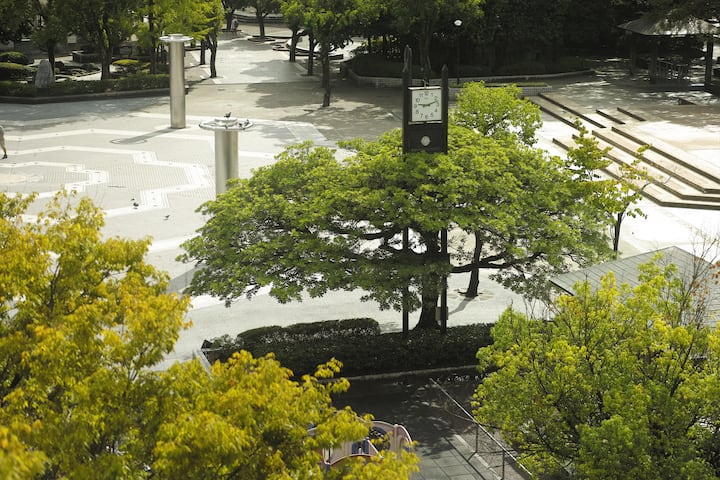 【宿り木】
街の中心、新緑の公園を望む貸し切りペントハウス｜5名対応 - Kochi, Japan