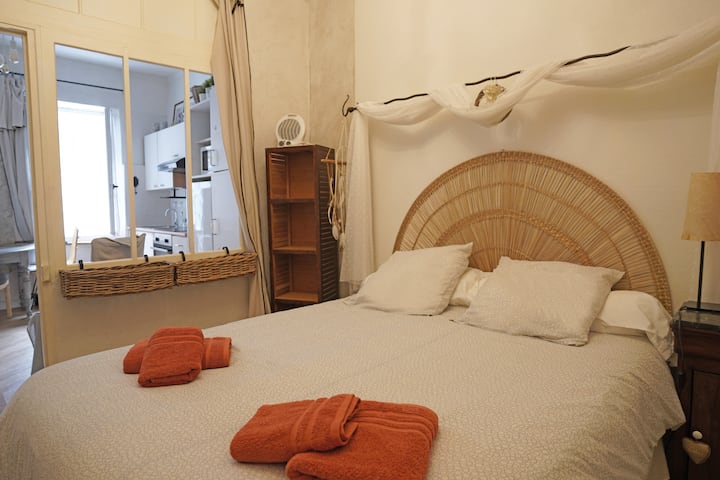 Le Refuge Des Cigales -Appartement Climatisé Intra - Avignon