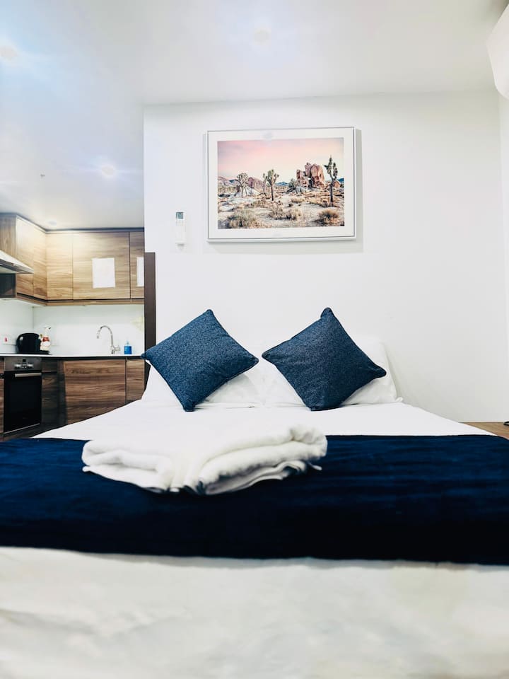 Luxury One Bedroom Flat In London City - Greenwich