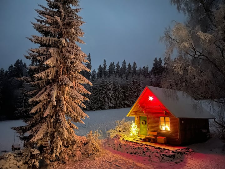 Wo Sich Fuchs Und Has´gute Nacht Sagen! - Marienberg