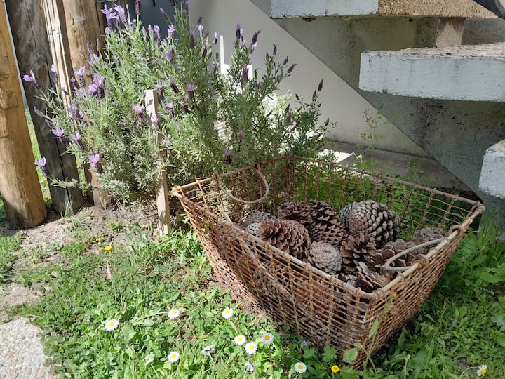 Gîte Pomme De Pins, Face à La Forêt - Saint-Hilaire-de-Riez
