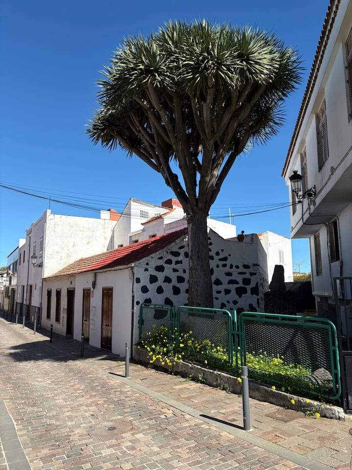 Escápate A Casa Del Drago En San Mateo. - Vega de San Mateo