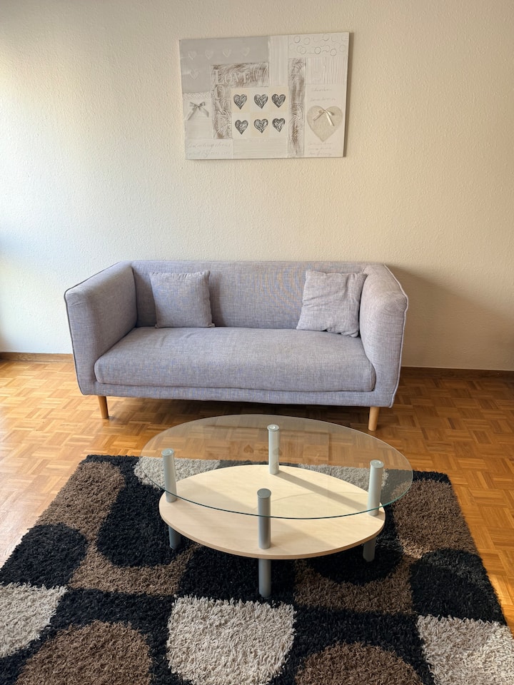 Cozy Apartment 2nd' Floor, Champel Geneva - Geneva