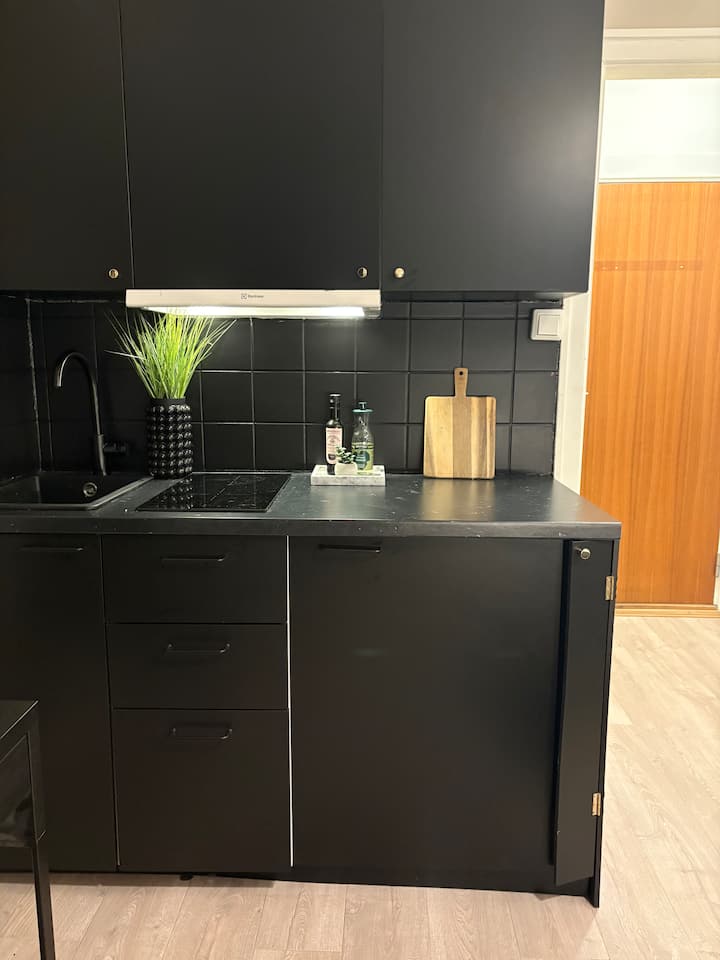 Moderne Leilighet På Grünerløkka - Oslo