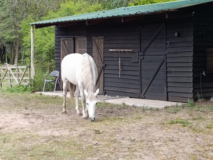 El Establo - Gualeguaychú