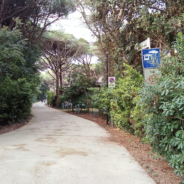 Stella Marina - Eraclea Mare