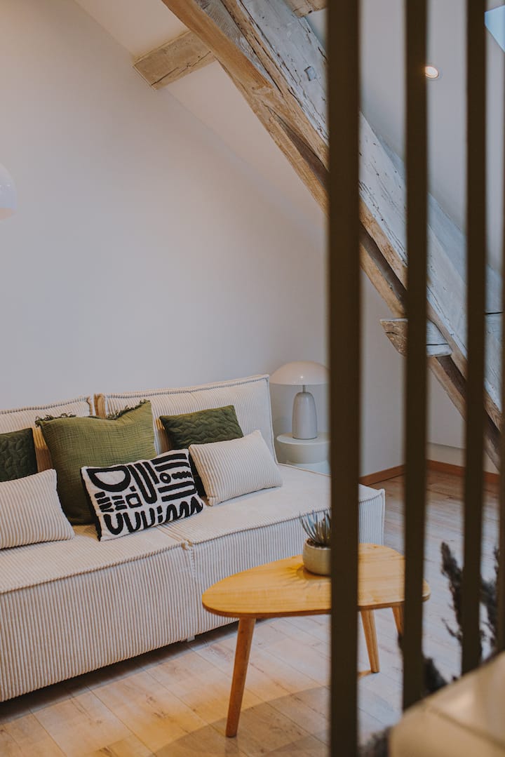 The Nest Proche Gare, 1chambre, Canapé Convertible - ibis Dijon Gare