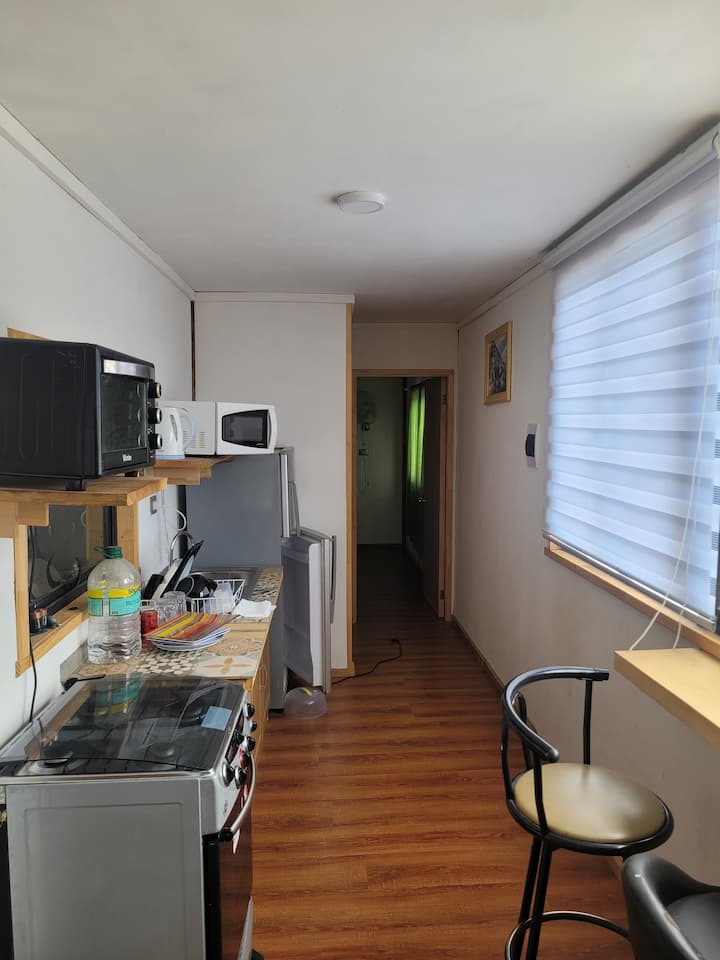 Departamento Con Terraza Y Equipado - Los Lagos