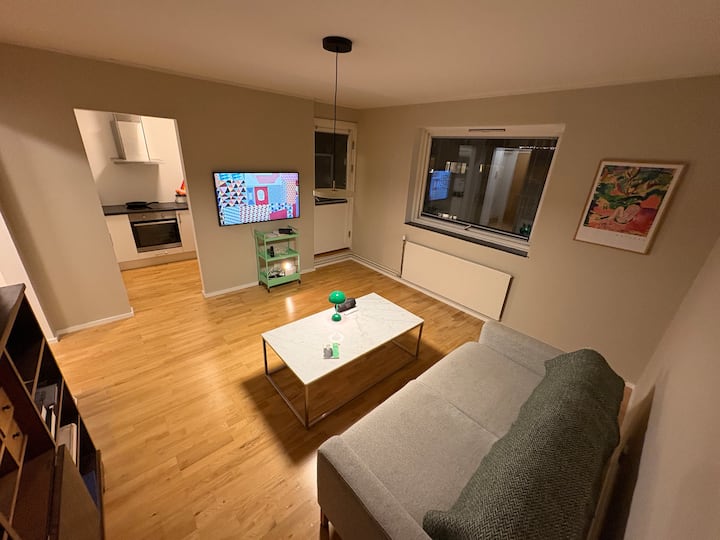 Central 1-room Ap.for Rent - Oslo