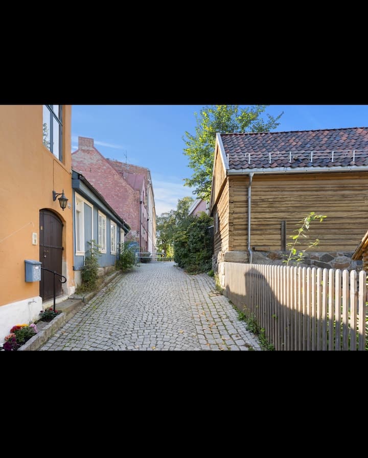 Attraktiv Beliggenhet – Midt I Hjertet Av Oslo - Oslo