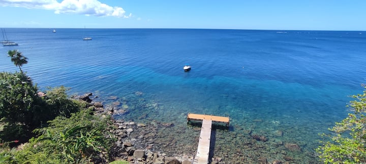 Mer Des Caraïbes & Ponton Privé - Fort-de-France
