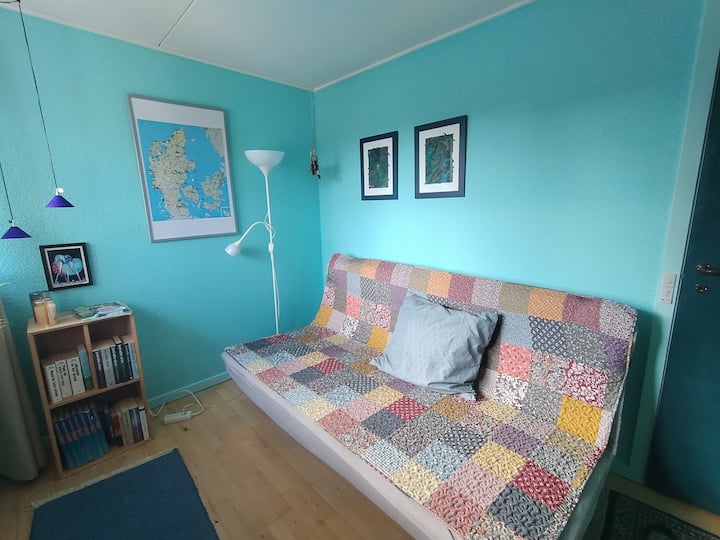 Billigt Mindre, Men Lækkert Værelse I Odense - Odense