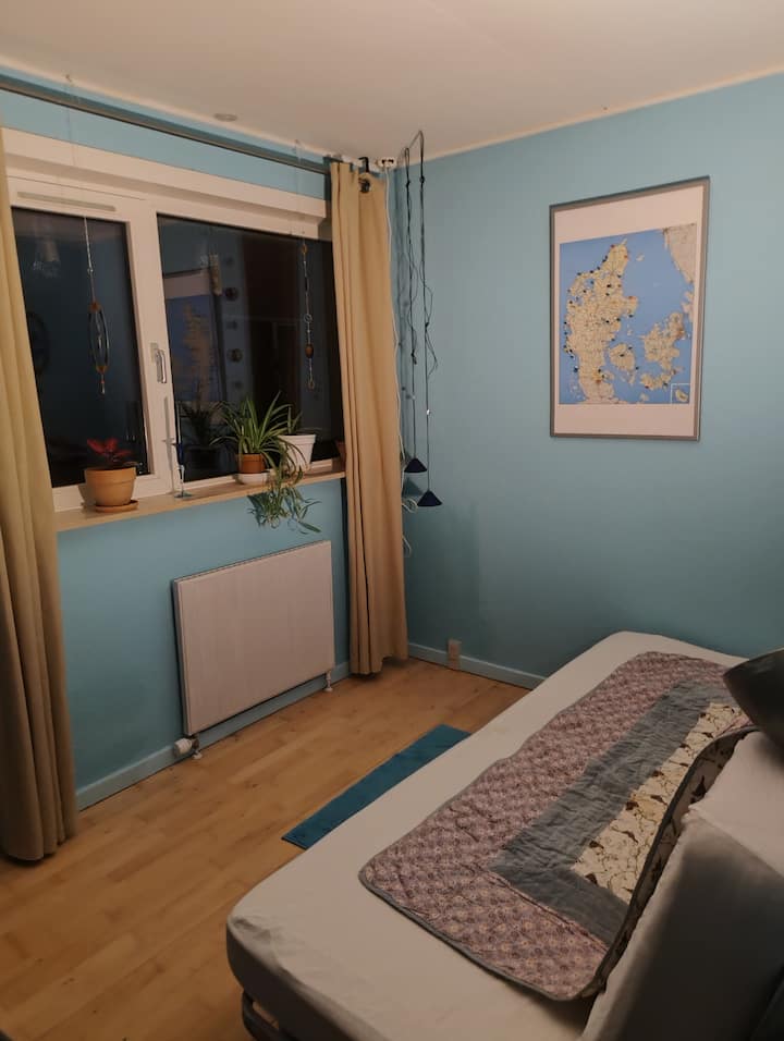 Billigt Mindre, Men Lækkert Værelse I Odense - Odense