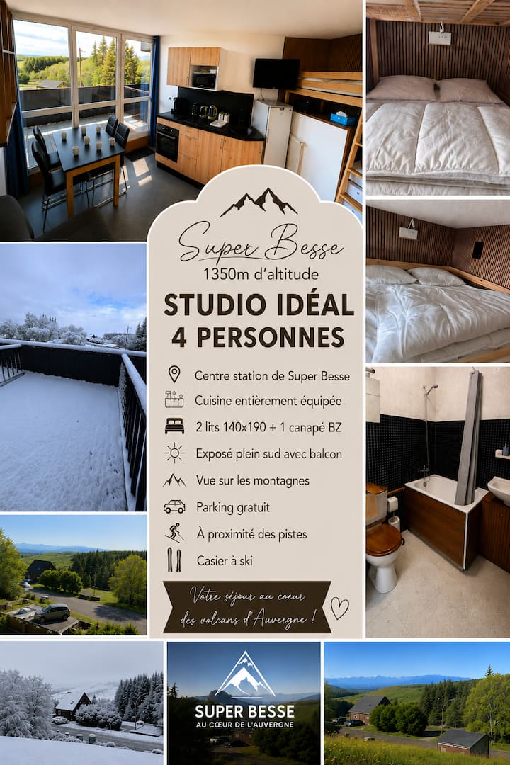 Studio 4-6 Pers. Proche
Pistes Centre Station - Puy de Sancy