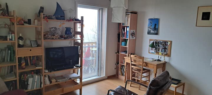 Calme, Environnement Verdoyant, Place De Parc. - Yverdon-les-Bains