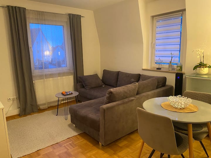 2-zimmer-wohnung Mit Balkon In Darmstadt - Darmstadt