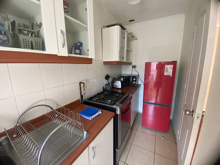 Stayok Curico - Curicó